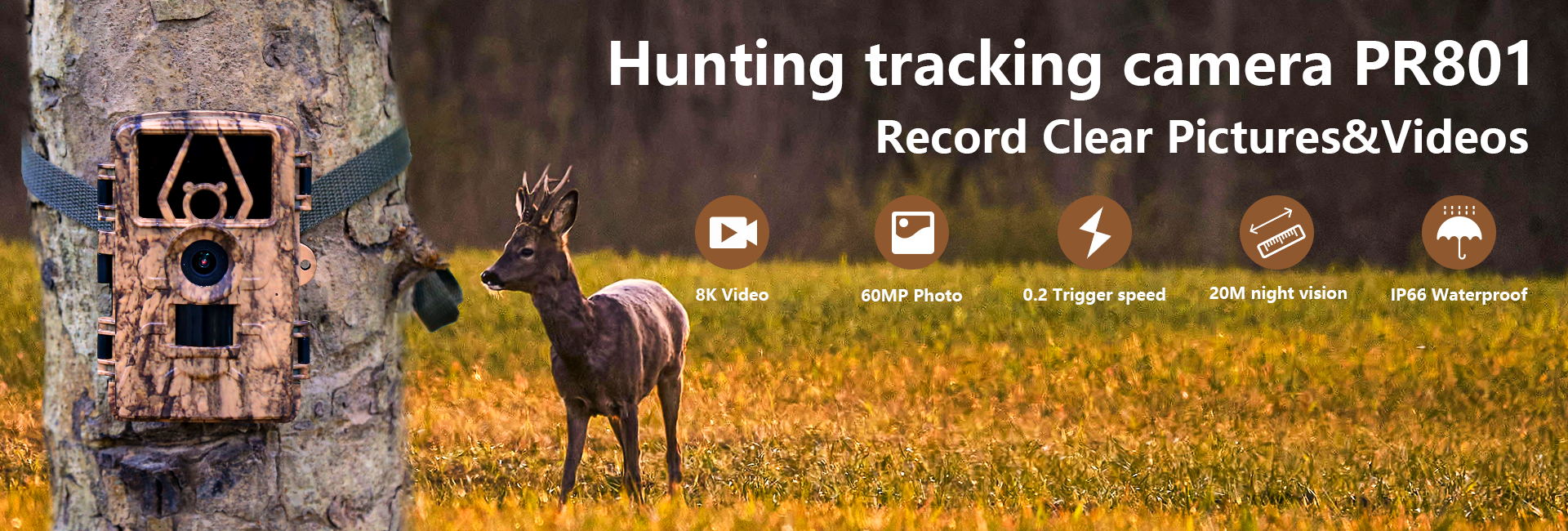 Trail Camera & Night Vision Goggles Manufacturer Factory Supplier ...