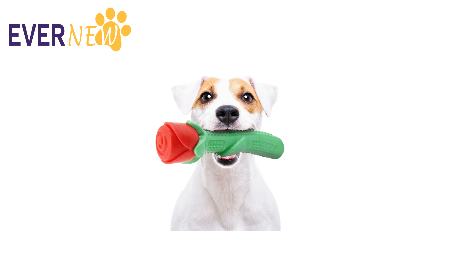 Evernew New Style Rose Shape Dog Chew Toy TPR Durable Toys for Dog OEM ...