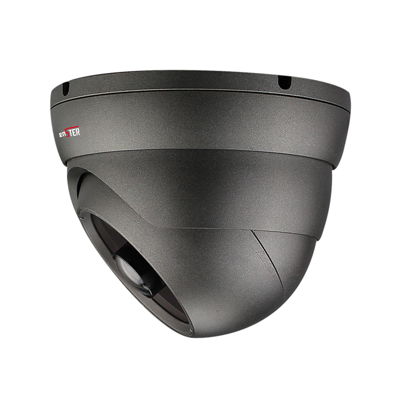 180 Degree Fisheye IP Camera