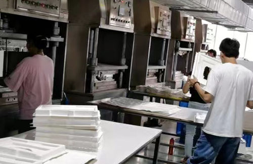 Biodegradable Pulp Moulded Packaging Supplier