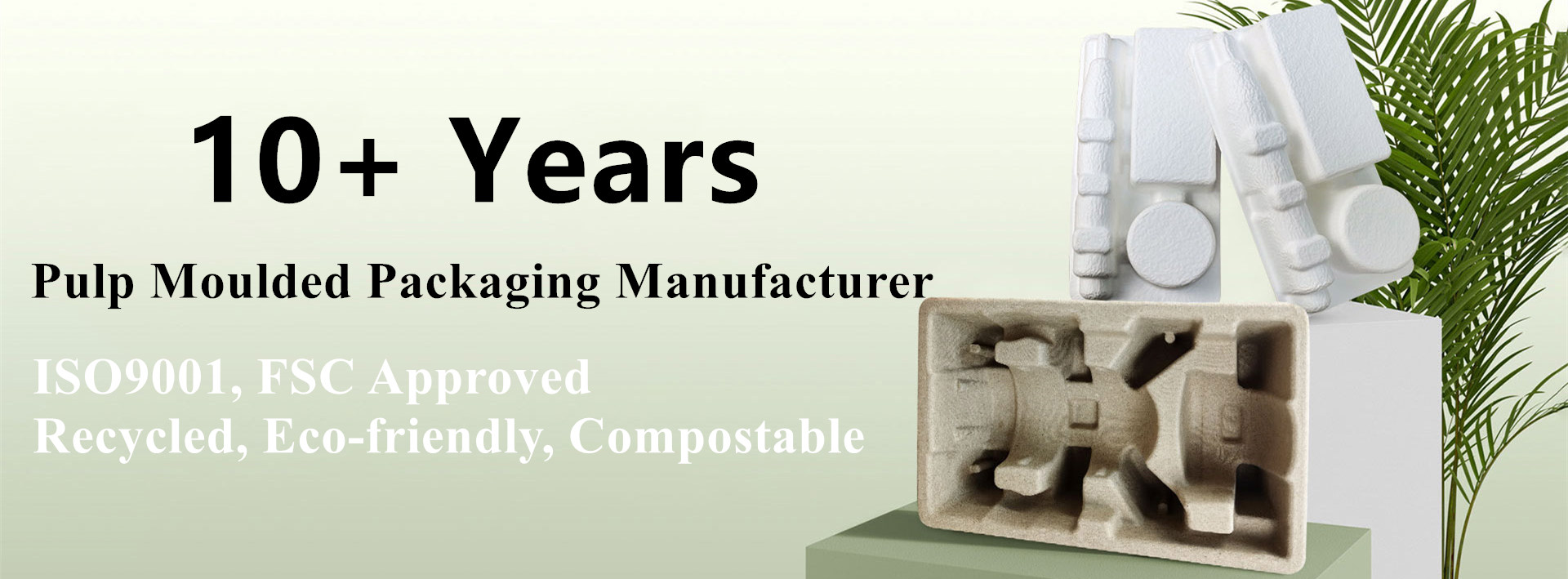 Biodegradable Pulp Moulded Packaging Supplier