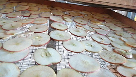 Apple Drying Machine | AIM Air Source Heat Pump Dryer