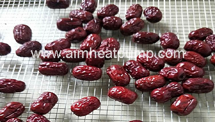 Red Dates Drying Machine | AIM Large Commercial Food Dehydrators