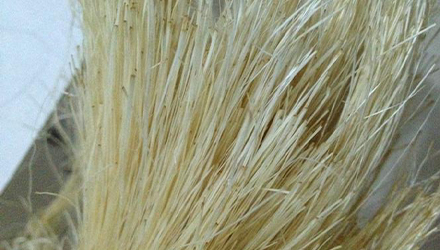 Abaca drying machine | Industrial Heat Pump Drying Machine | AIM