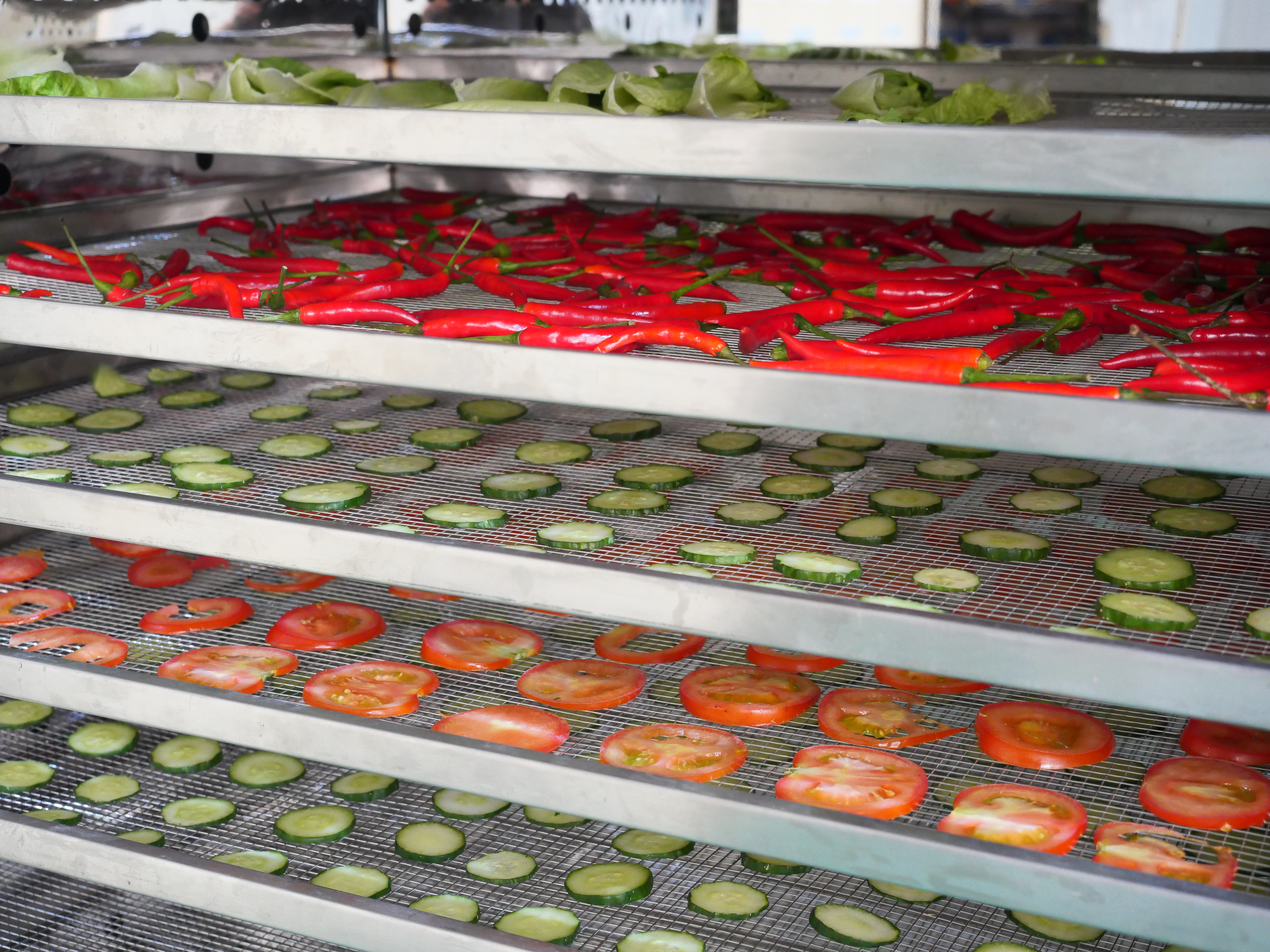 Optimizing Food Preservation: The Role of Industrial Heat Pump ...