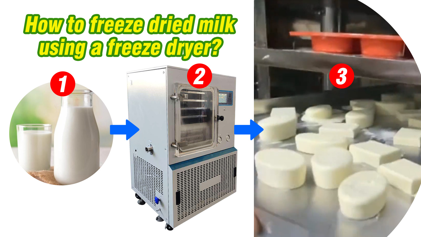 How to freeze dried milk using a freeze dryer？