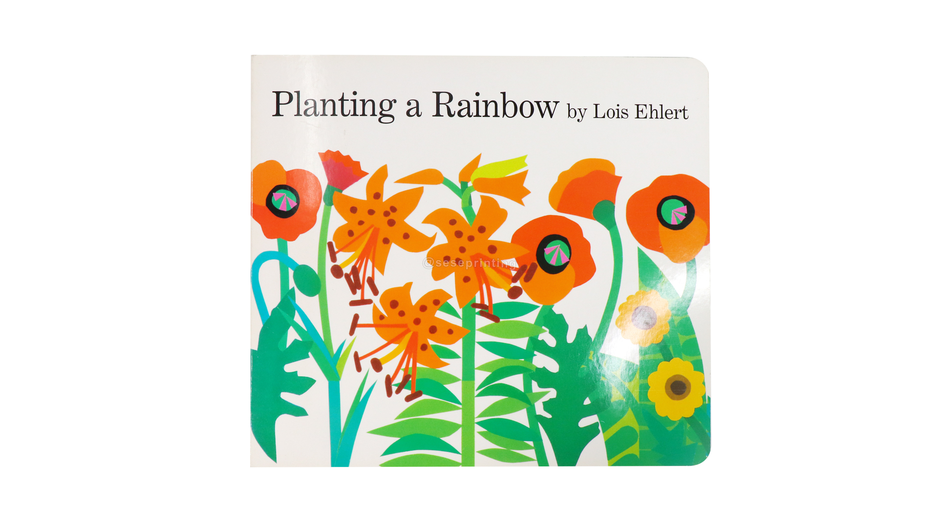 Custom Full Color Cardboard Book Children Board Book Printing