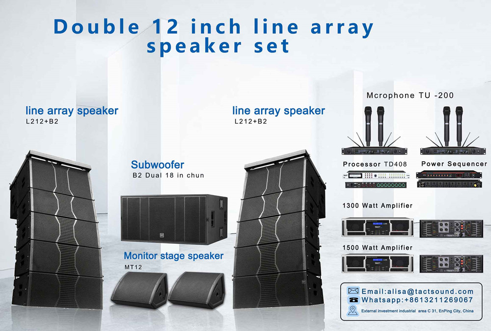 dual 12 inch line array speaker outdoor project case with TACT Pro Audio L212 | TACT