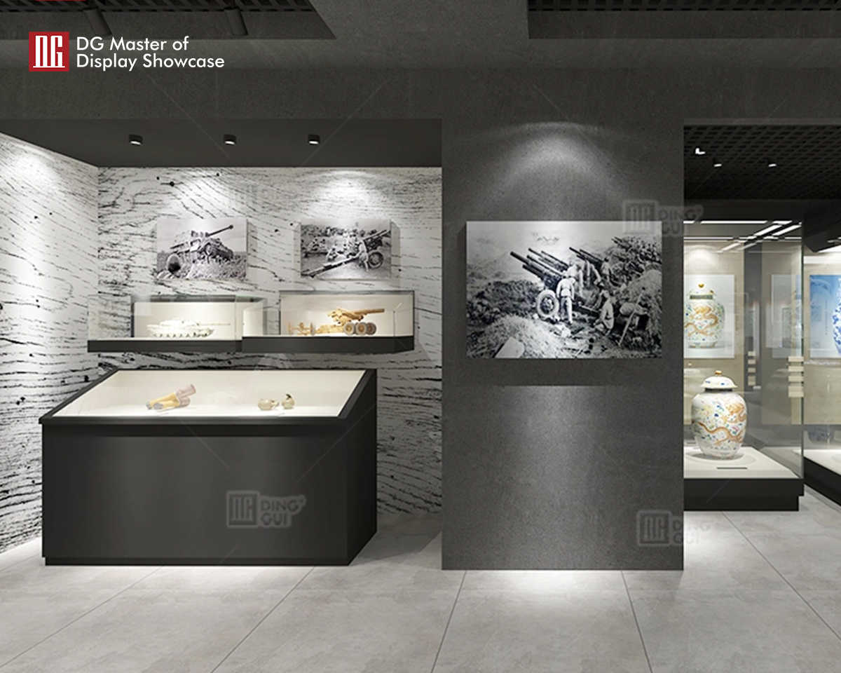 DG Showcase Professional Senior Museum Display Cabinet Exhibition ...