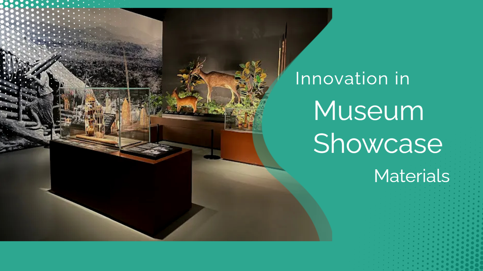 Innovation in Museum Display Showcase Materials: Breaking Tradition ...