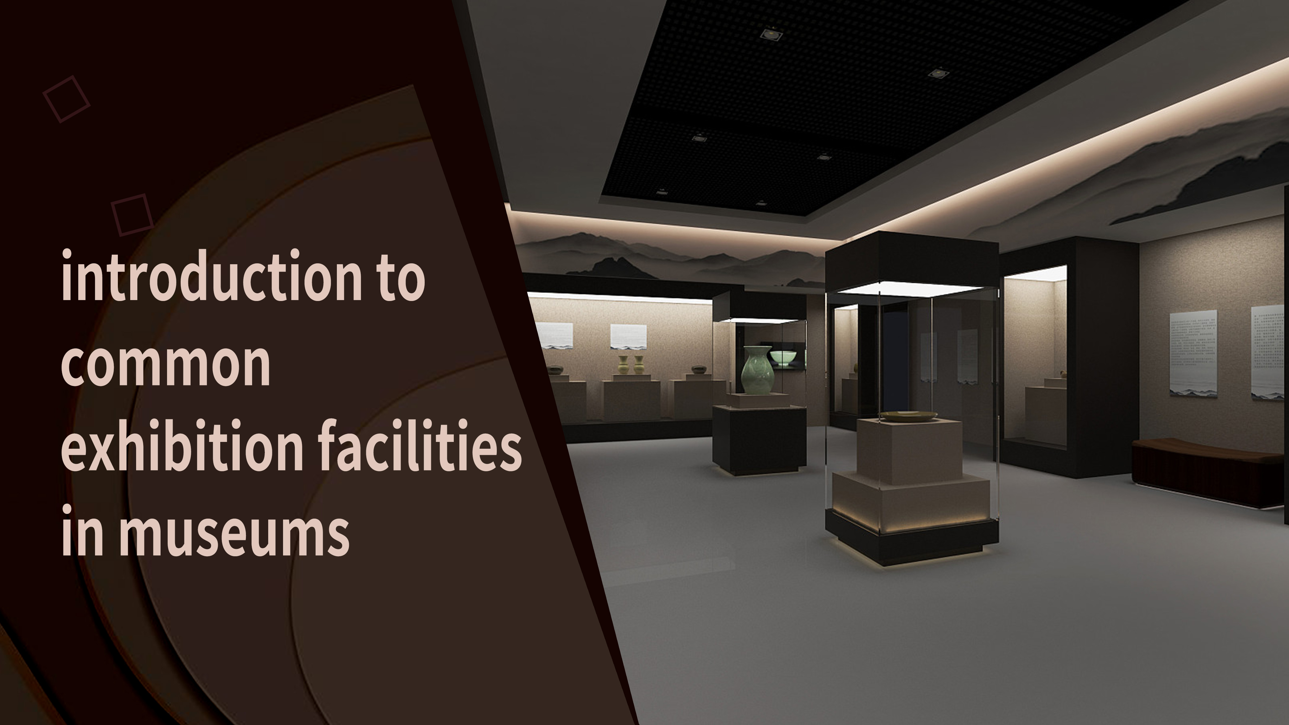 Introduction to common museum exhibits | DG Display Showcase