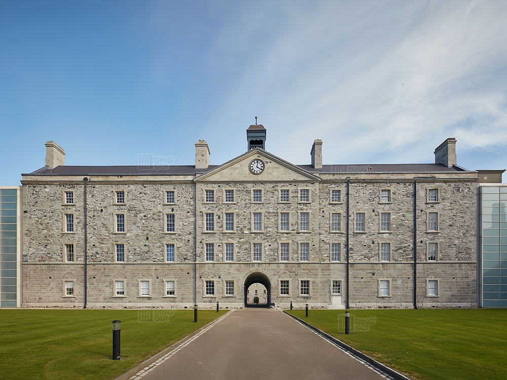 National Museum of Ireland | DG Display Showcase