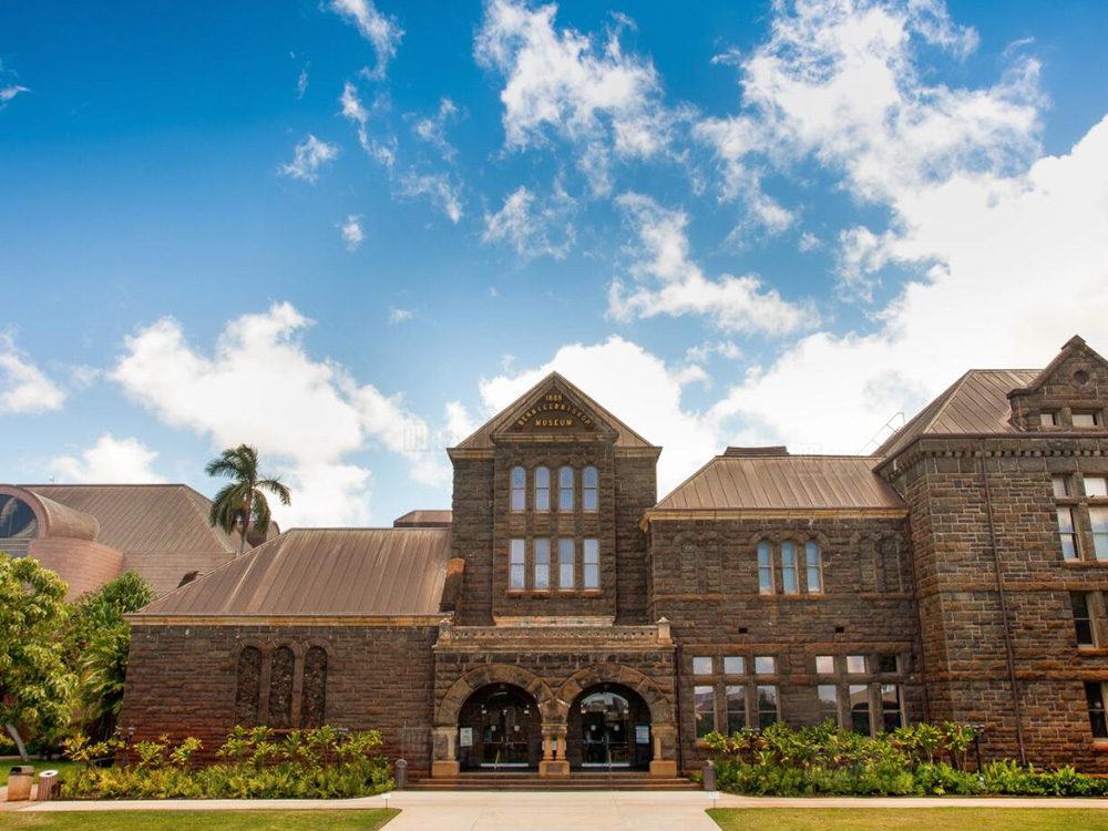 Bishop Museum | DG Display Showcase