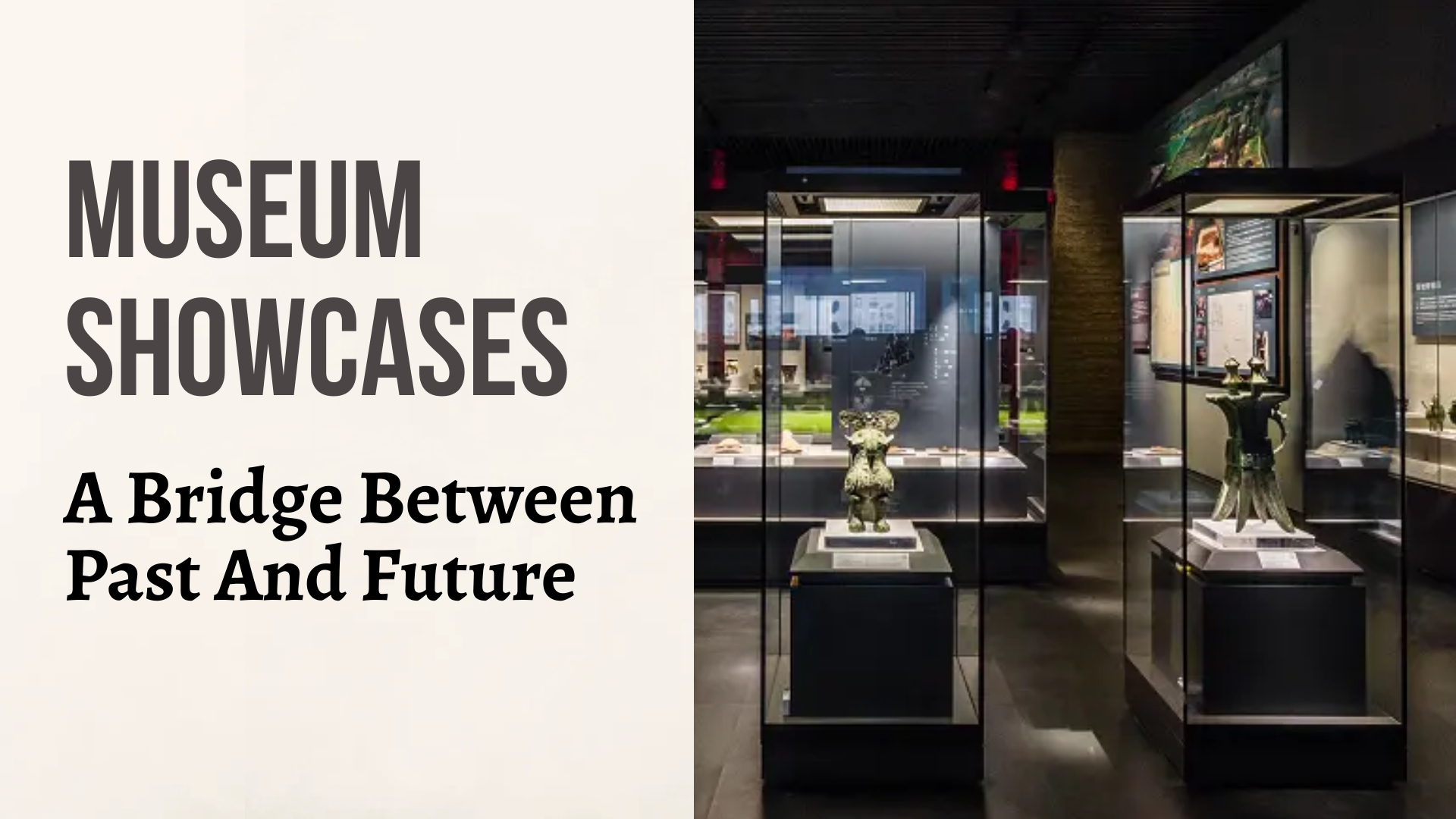 Museum showcases: a bridge between past and future | DG Display Showcase