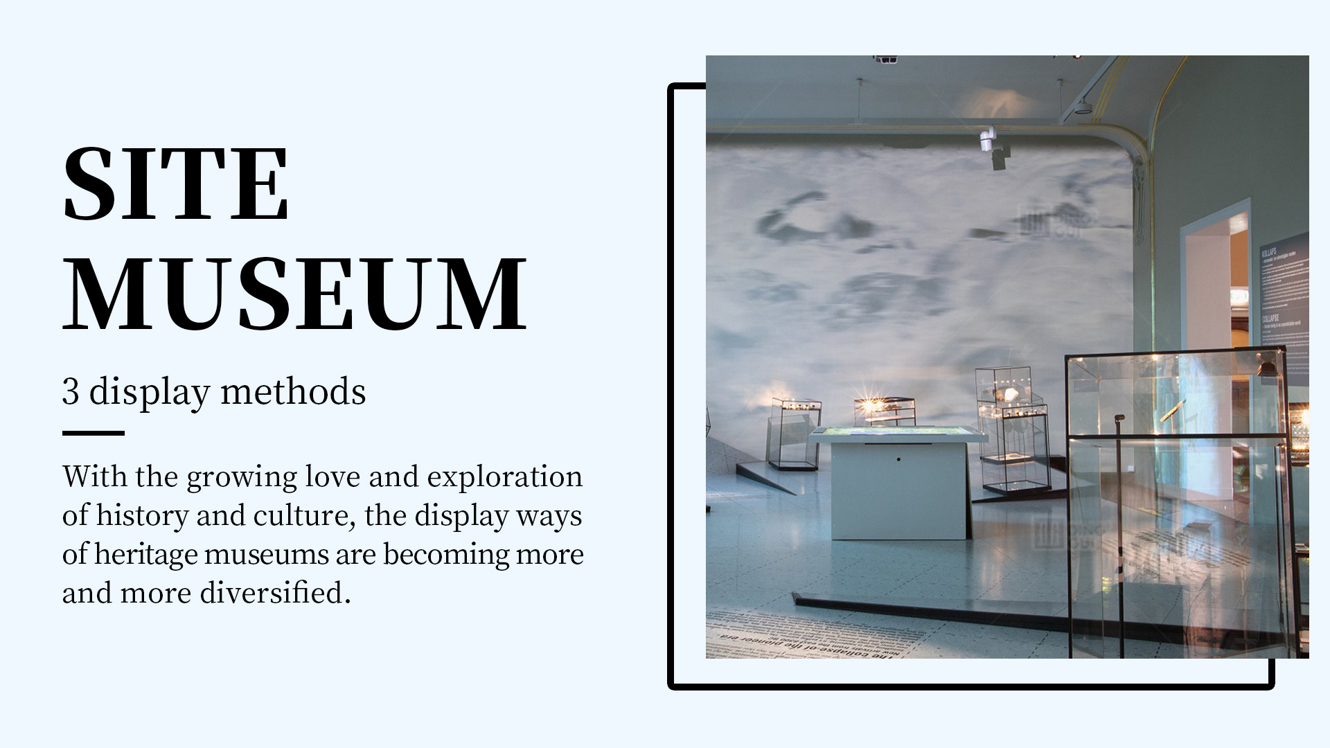 How to choose the display mode in the site museum | DG Display Showcase