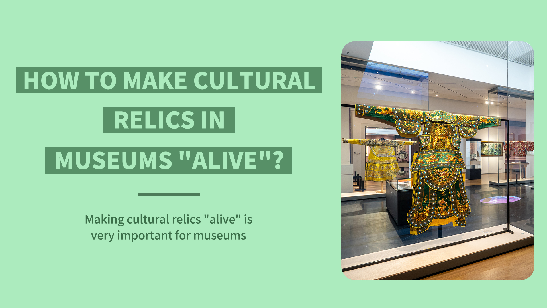 How to make cultural relics in museums "alive"? | DG Display Showcase