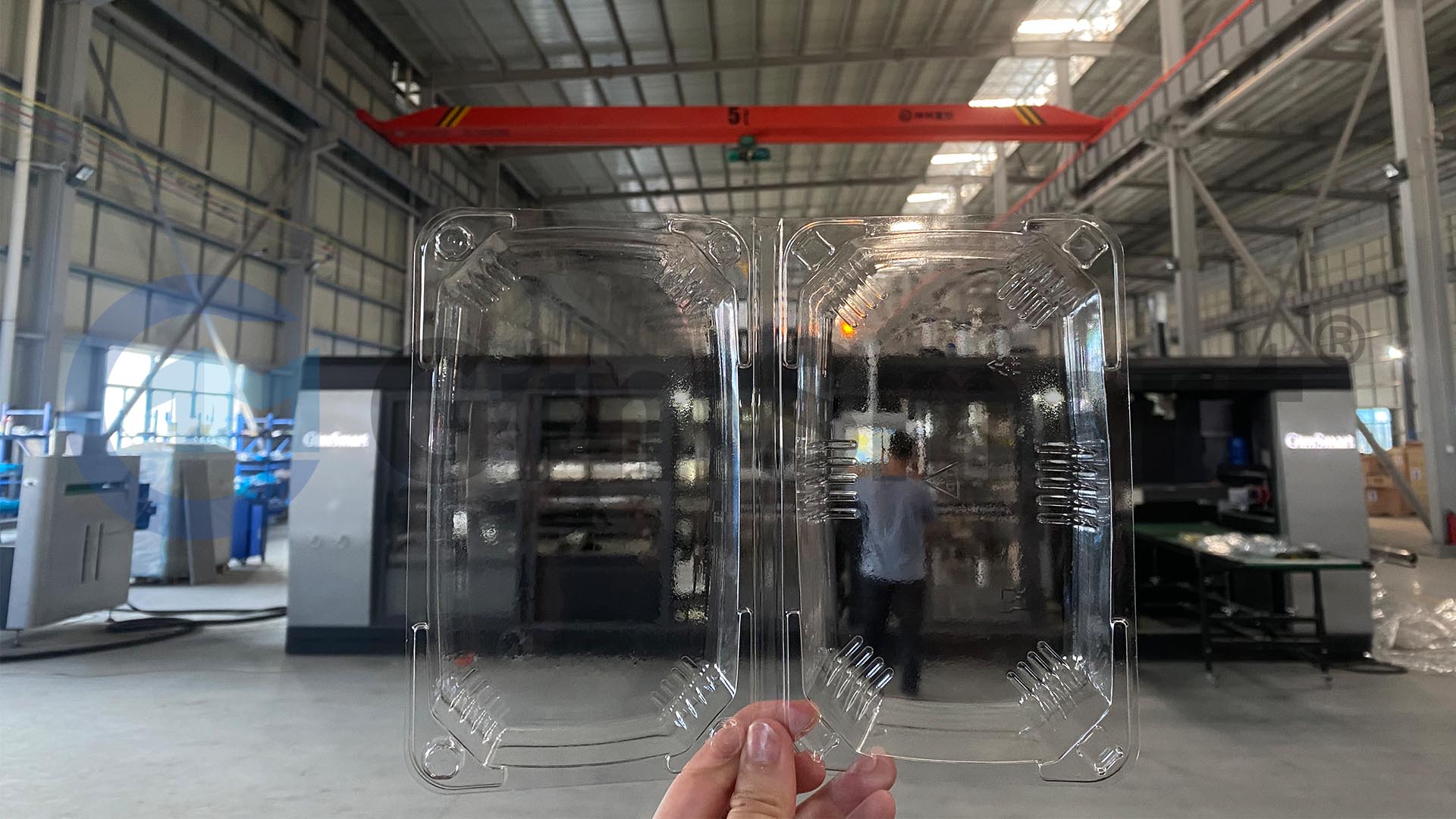 Quality PET Thermoforming Machine Fruit Clamshell Food Container Making ...