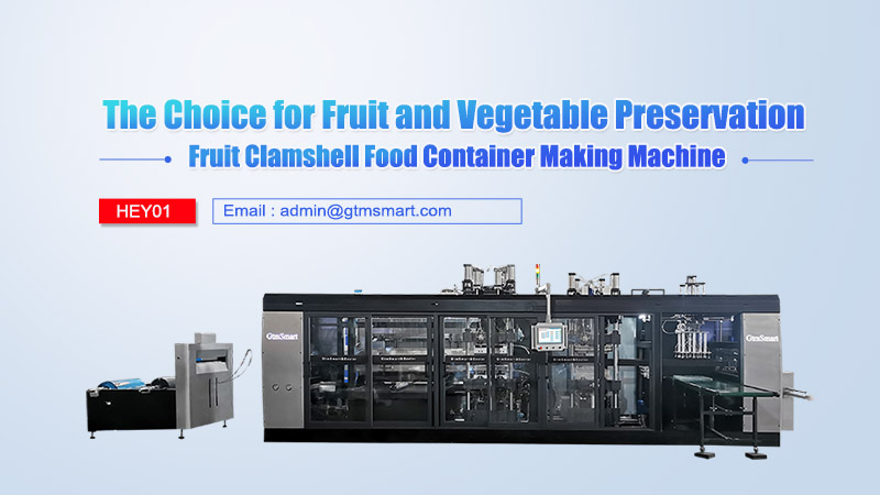 The Choice for Fruit and Vegetable Preservation: Fruit Clamshell Food ...