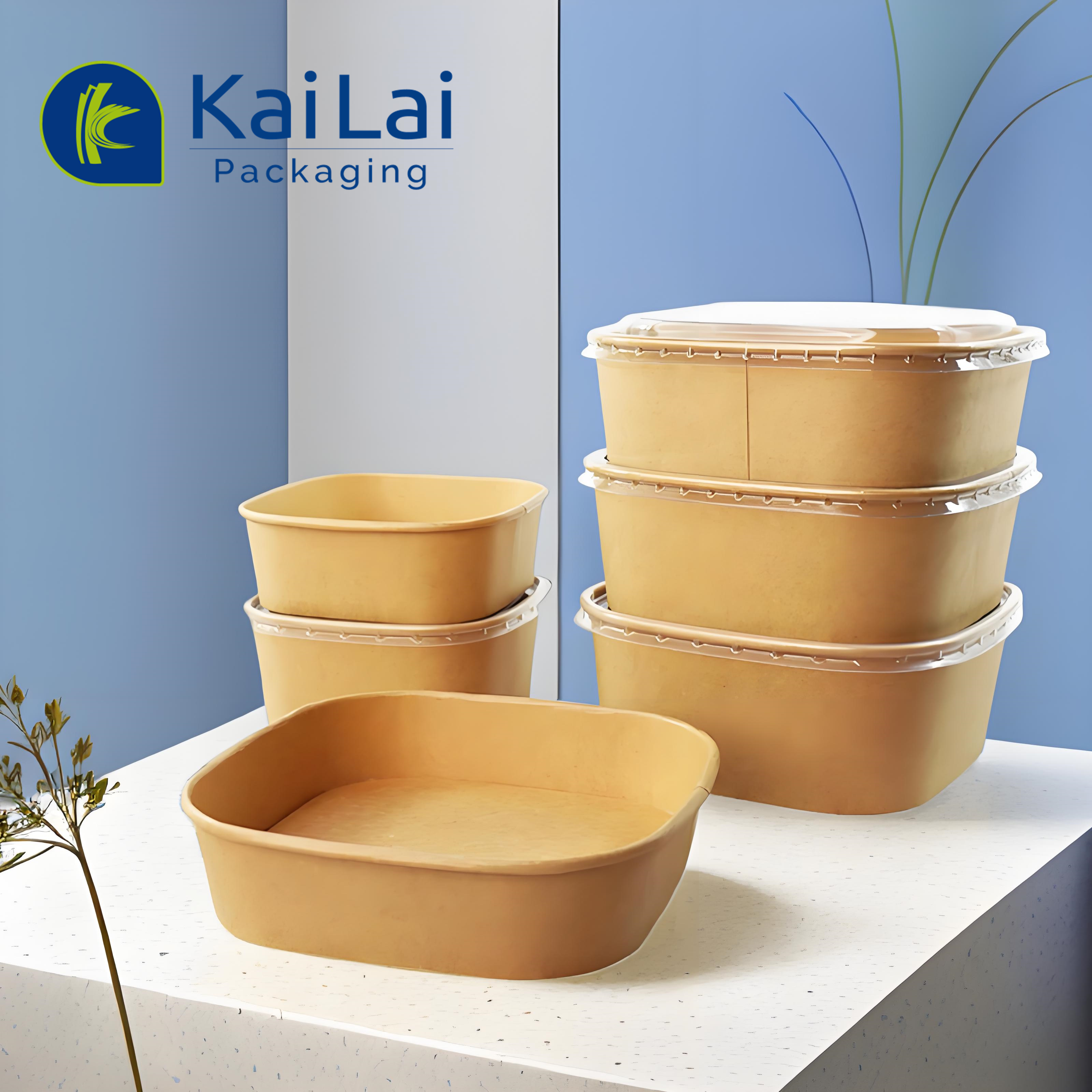Disposable Square Kraft Paper Box for Takeaway Fried Chicken Salad ...