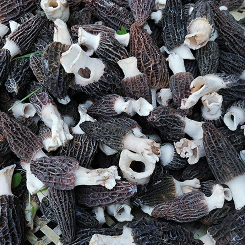 Condensing Unit Refrigeration | Best Heat Pump Dryer Manufacturer ...