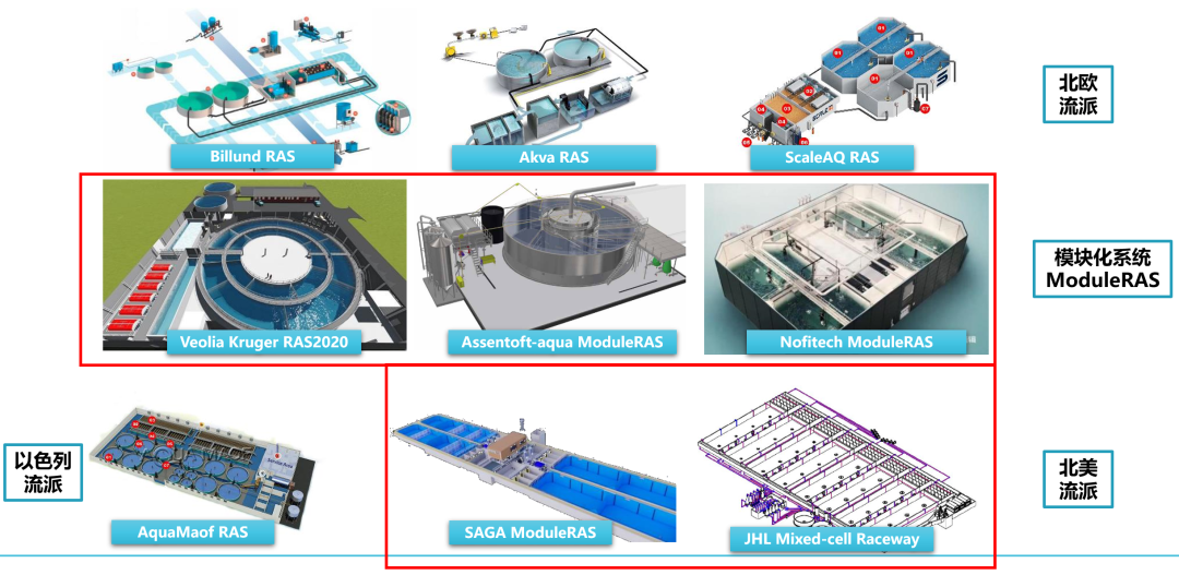 RAS development status at home and abroad
