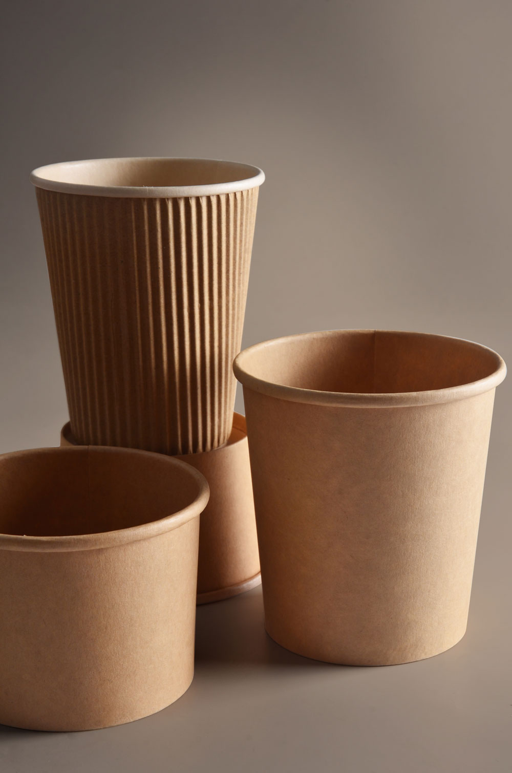 Food Paper Packaging & Containers Wholesale Supplier | SENANG