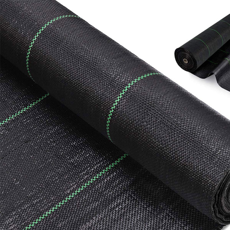 Weed Membrane for Artificial Grass: Keeping Your Lawn Weed-Free | Doleader