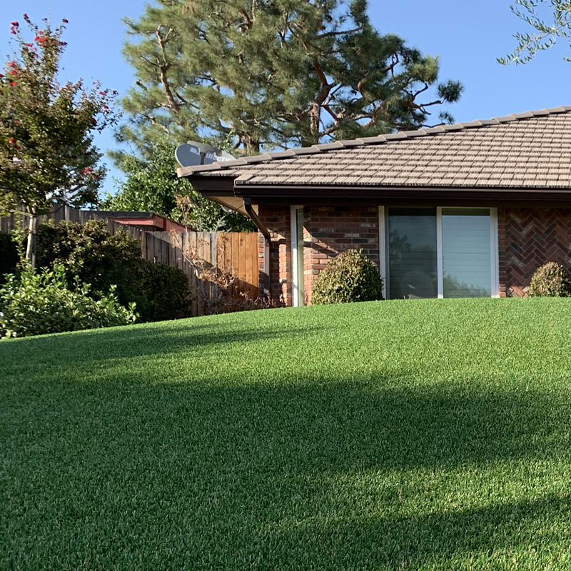 Stopping ant mounds in artificial backyard grass | Doleader