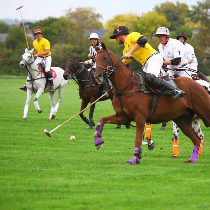 Artificial grass for polo fields | Doleader