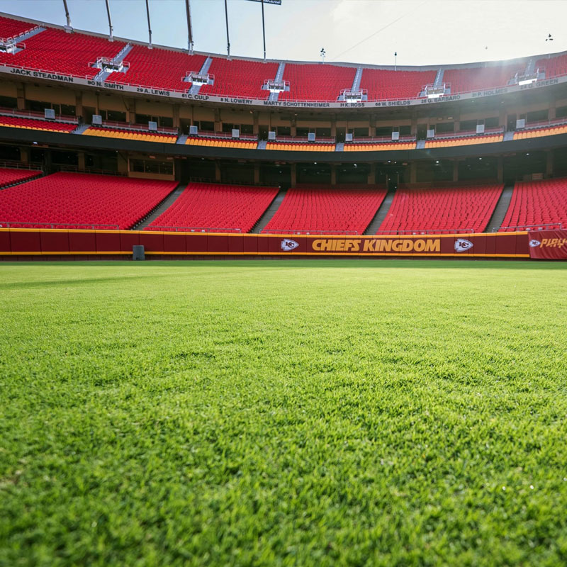 Artificial grass for arenas and stadiums | Doleader