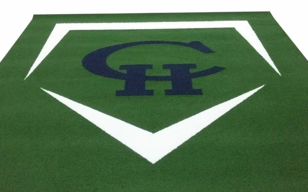 Enhance Your Brand with Custom Turf Logo | Doleader