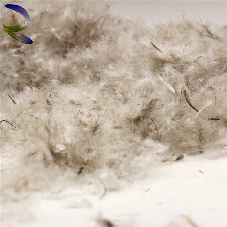 Differences Between White Duck Down and Grey Duck Down - Rongda