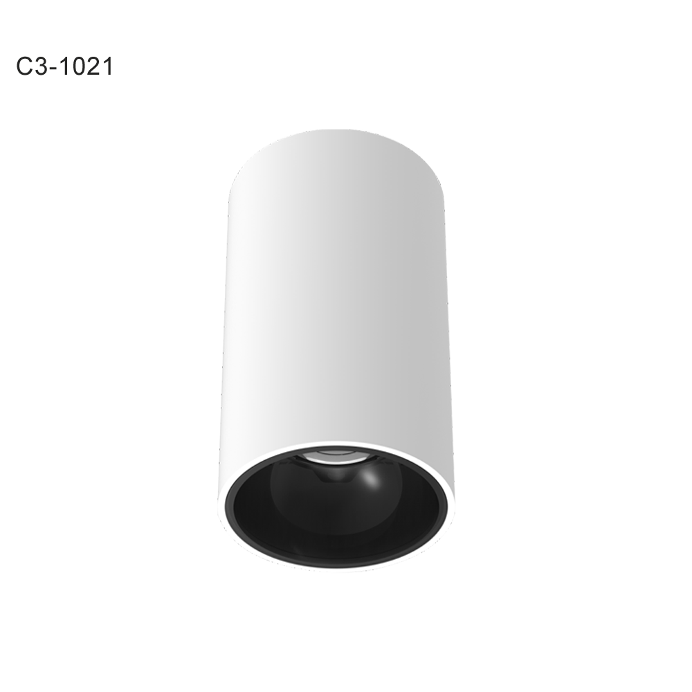 IP65 waterproof LED downlight for hotel | Lancesun Lighting