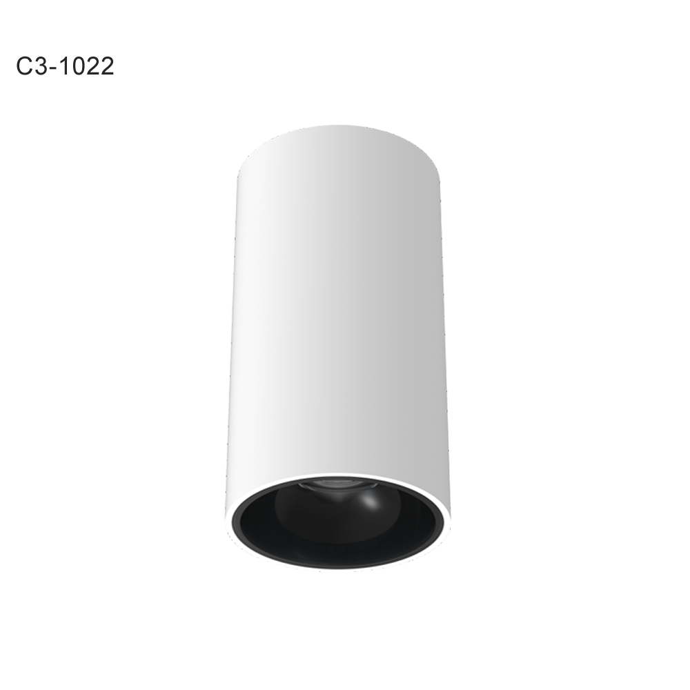 IP65 waterproof LED downlight for hotel | Lancesun Lighting