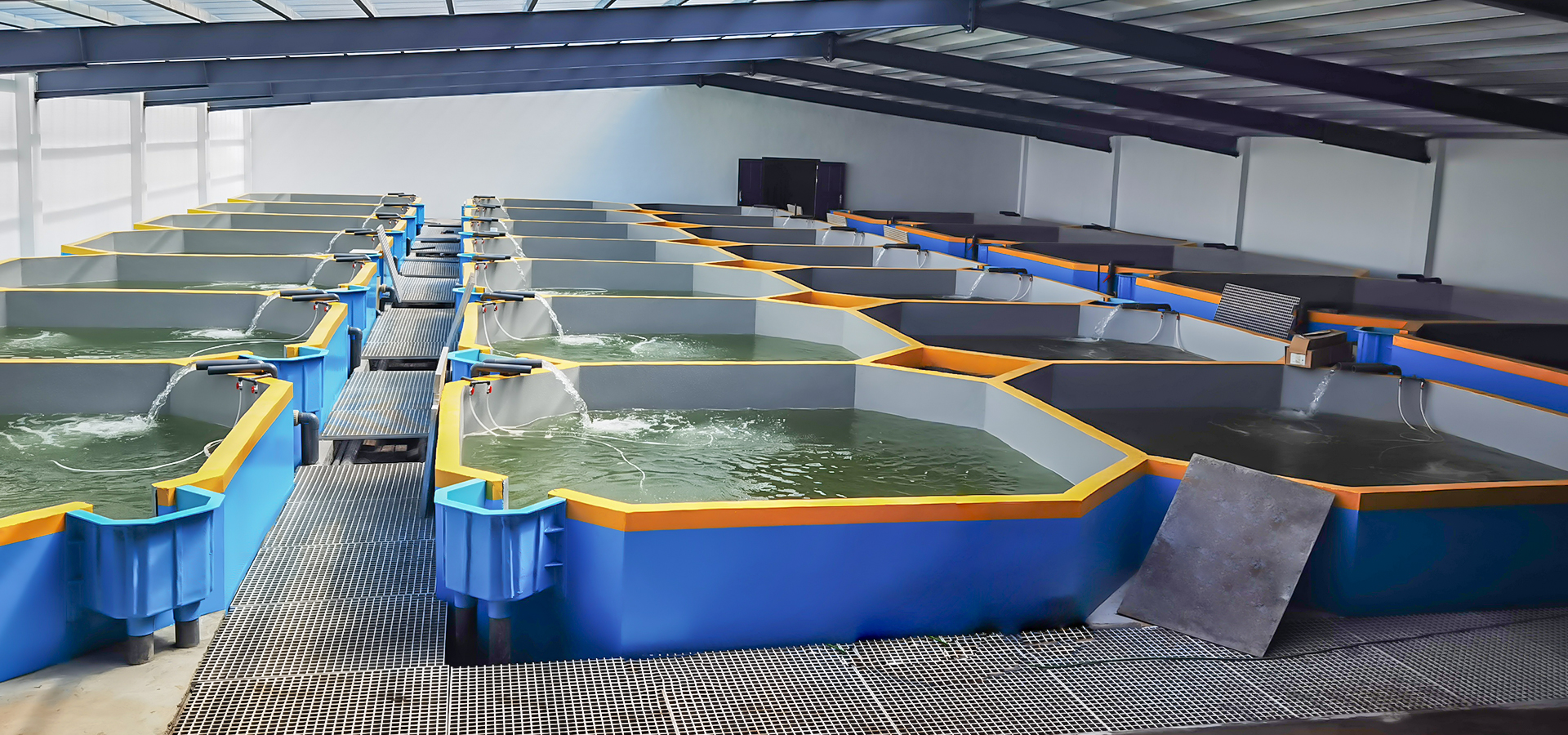 Aquaculture Equipment Suppliers & Manufacturer | eWater Aquaculture ...