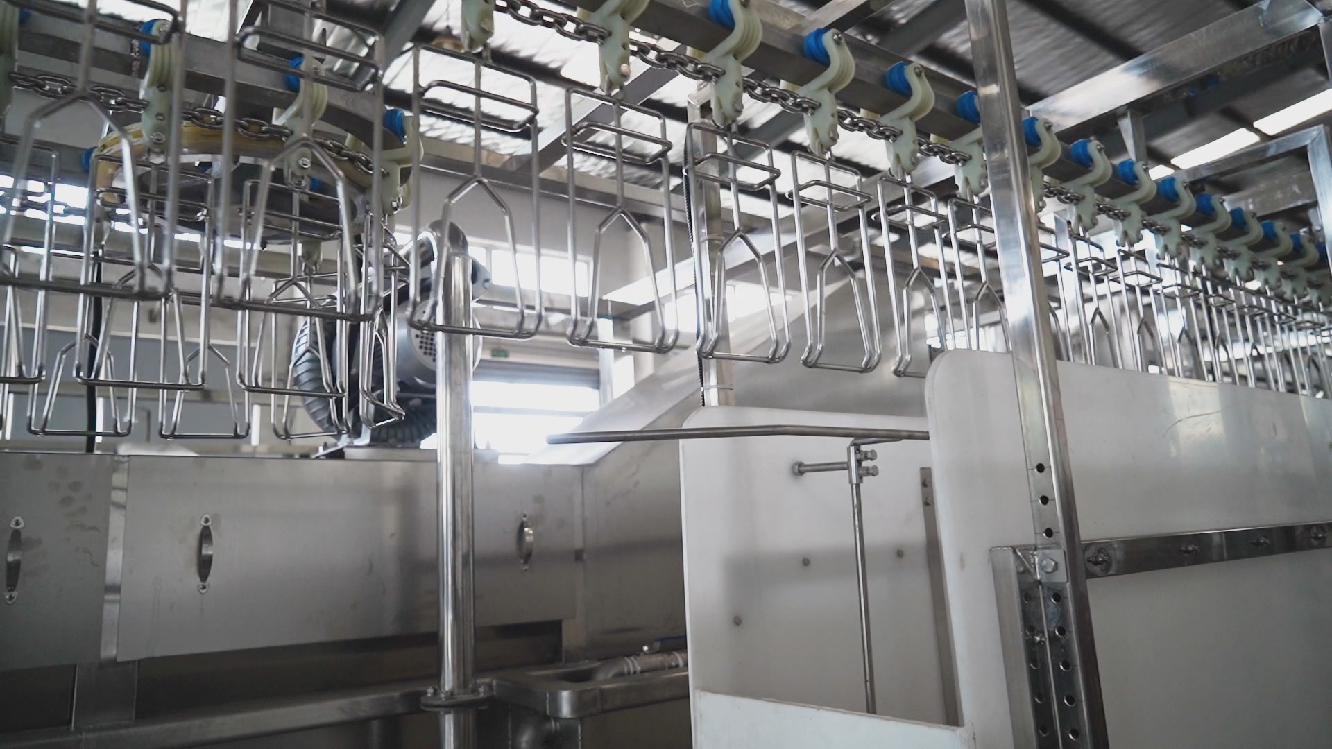 300 BPH Quality Compact Chicken Slaughter Line - Automated Poultry ...