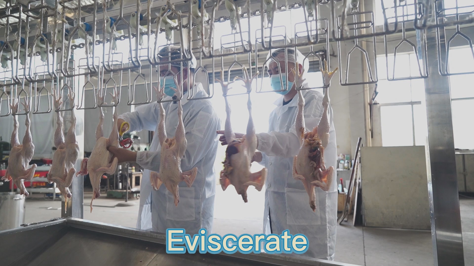 300 BPH Quality Compact Chicken Slaughter Line - Automated Poultry ...