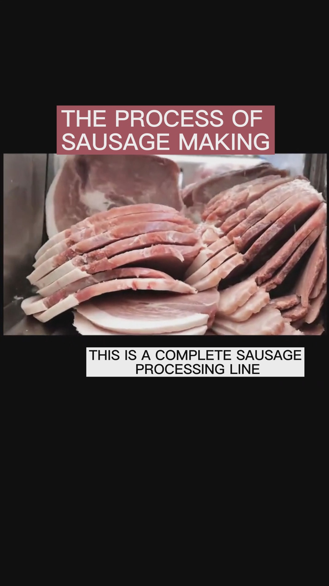 The Process Of Sausage Making | Eruis