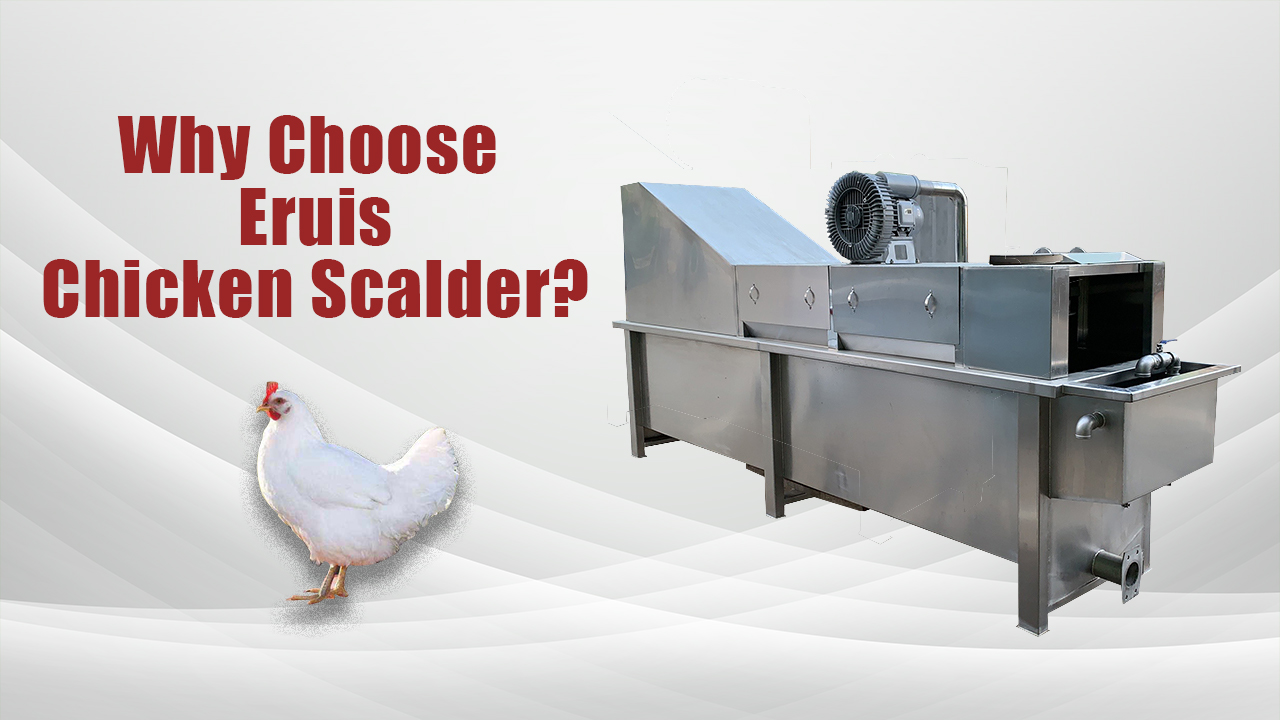 Why Choose Eruis Chicken Scalder?