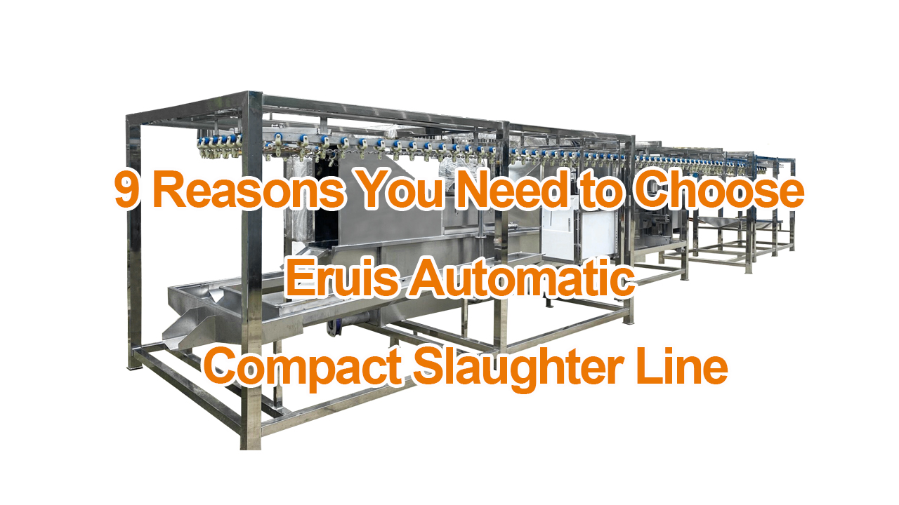 9 Reasons You Need to Choose Eruis Automatic Compact Slaughter Line
