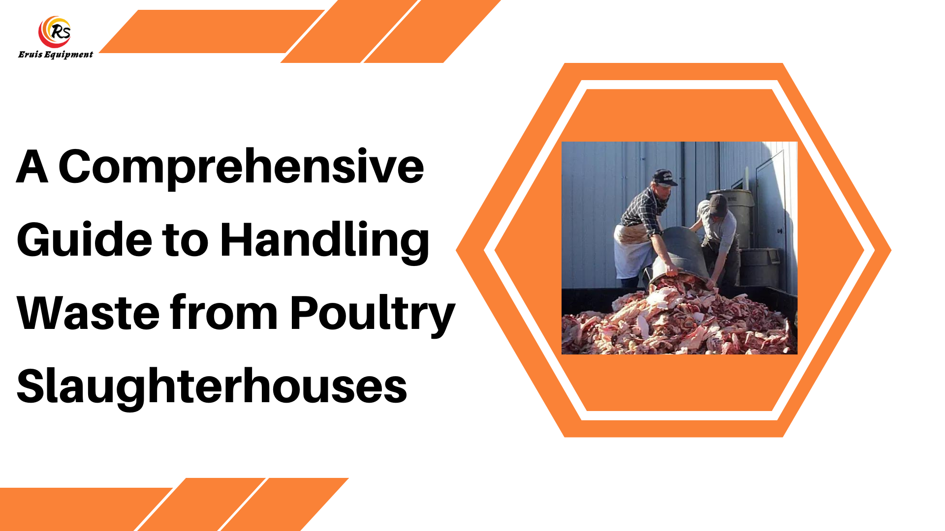 A Comprehensive Guide to Handling Waste from Poultry Slaughterhouses ...