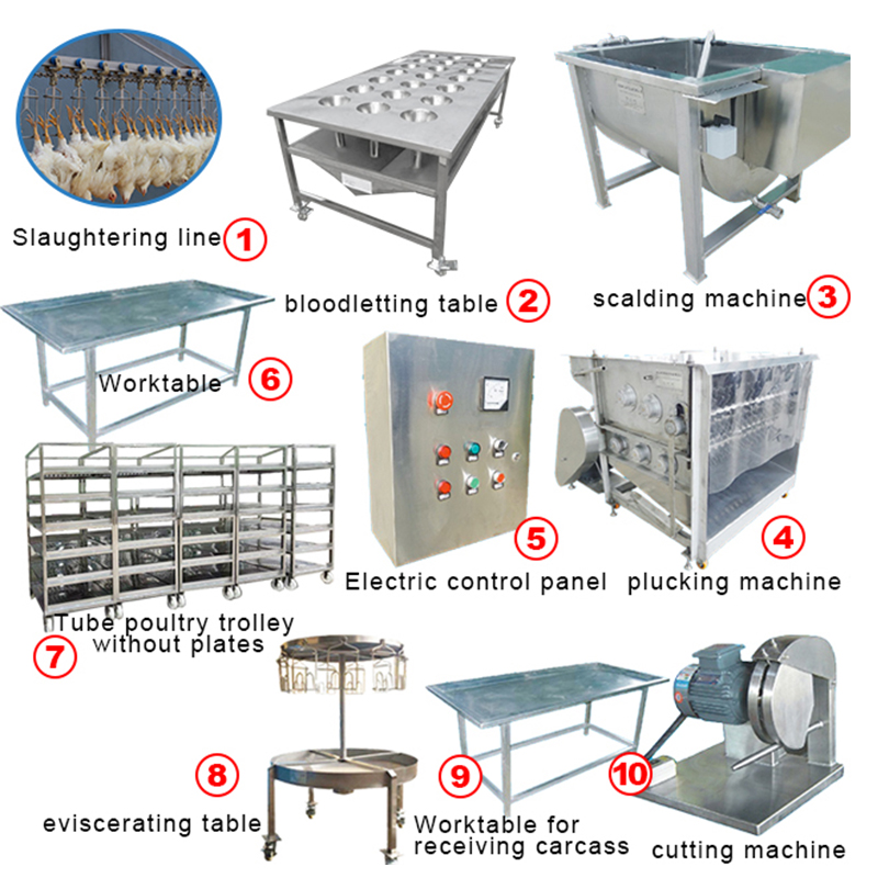Advanced Slaughtering Equipment Set for Small-Scale Poultry Processing ...