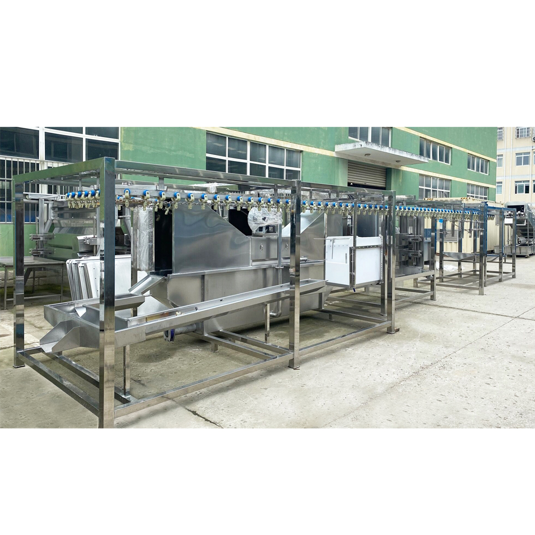 Automatic Chicken Slaughter Line Customized for 1500-3000BPH Chicken ...