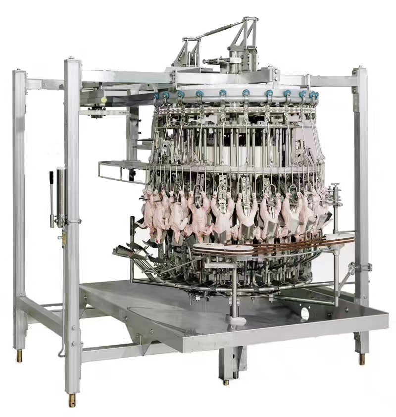 Éviscération automatique de la volaille : Précision avec notre machine ...