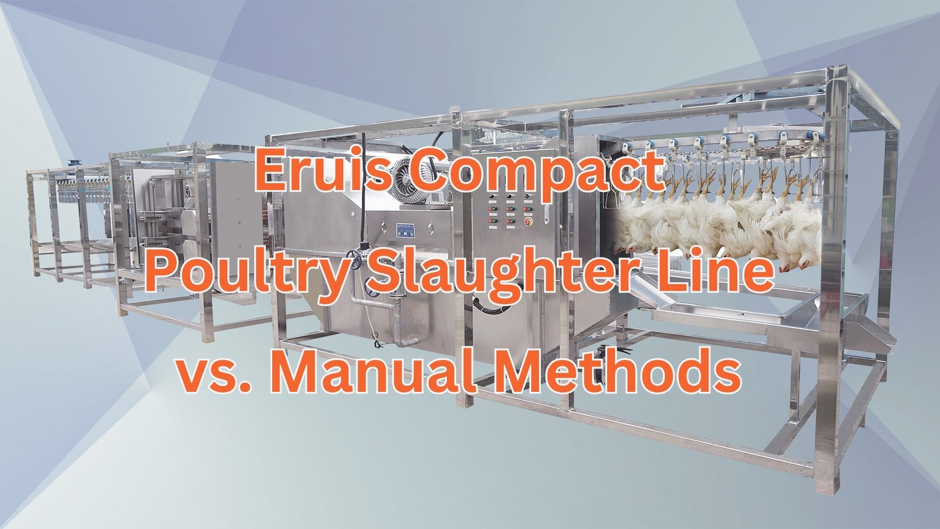 Revolutionizing Poultry Slaughtering Efficiency: Eruis Compact Poultry ...