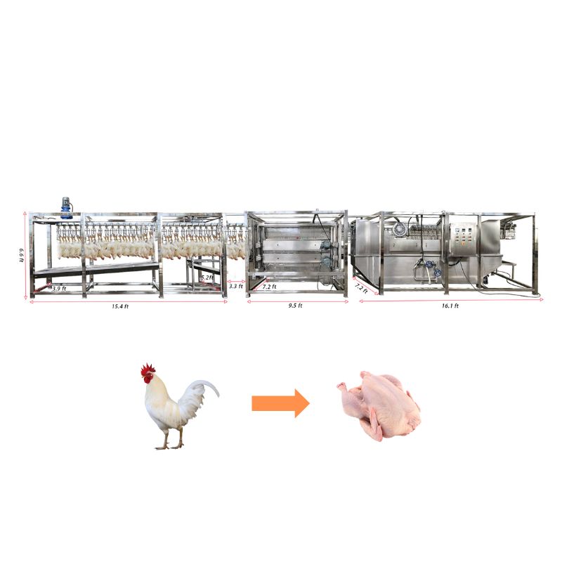 Automatic Chicken Slaughter Line Customized for 1500-3000BPH Chicken ...