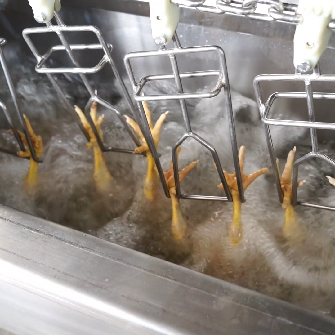 1500 BPH Top-Quality Automatic Compact Slaughter Line for Reliable ...