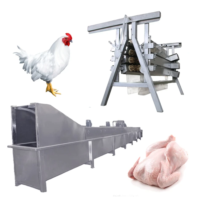 Eruis - Abattoir Mobile de Poulets : Abattoir de Volailles Innovant et ...