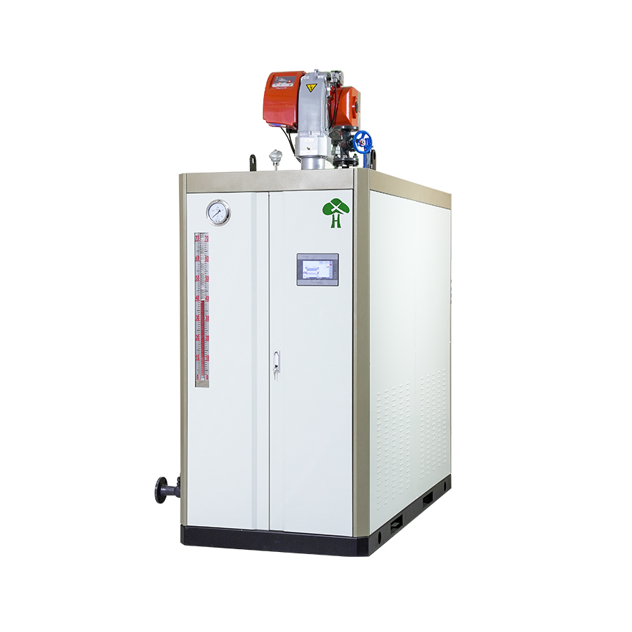 0.2ton/0.3ton Steam Boiler Quick Providing Heat for Chicken Scalder - Eruis