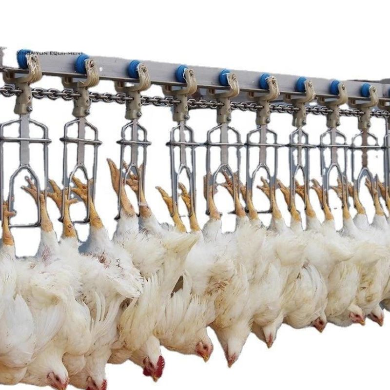 The Cut-Up Transfer Line for Poultry Processing with an Integrated ...
